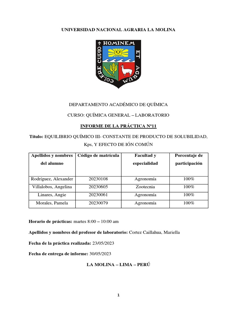 Informe 12 Quimica Laboratorio | PDF | Solubilidad | Equilibrio químico