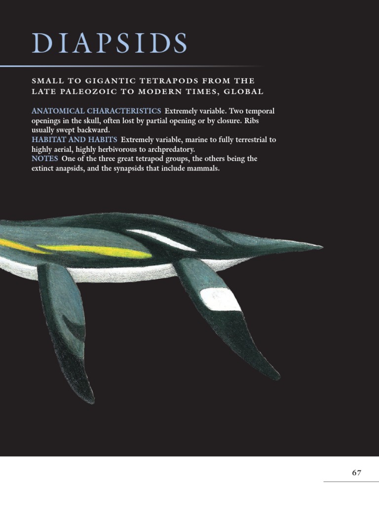 GSP Marine Meat | PDF | Anatomy | Mesozoic Reptiles