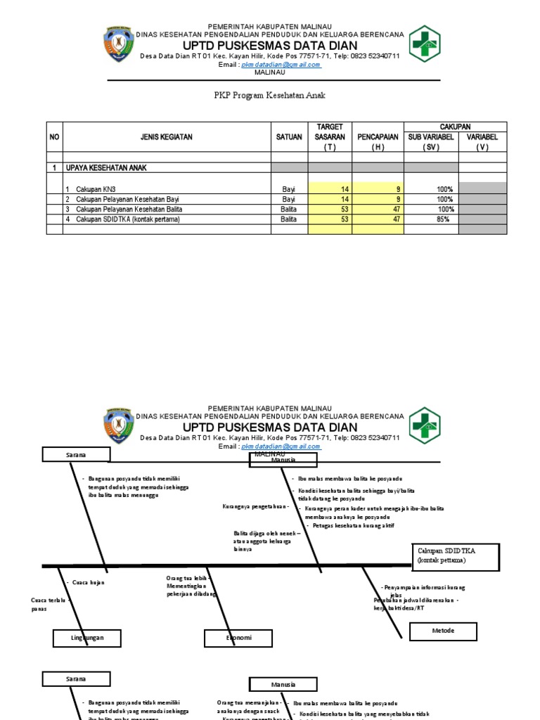 PDCA Program Kesehatan Anak (Mariana) | PDF
