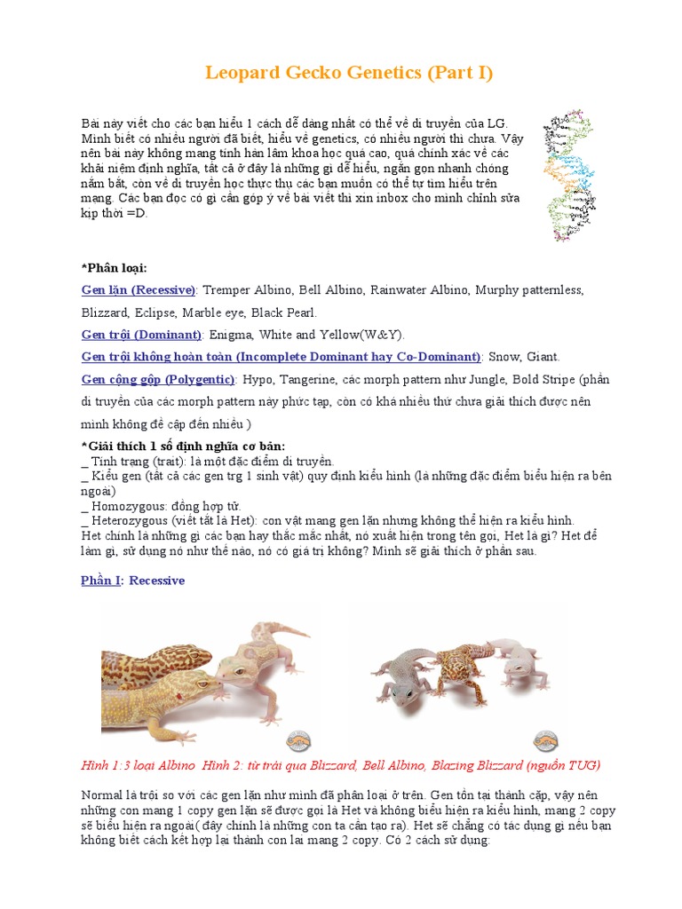 Leopard Gecko Genetics (Part I) | PDF