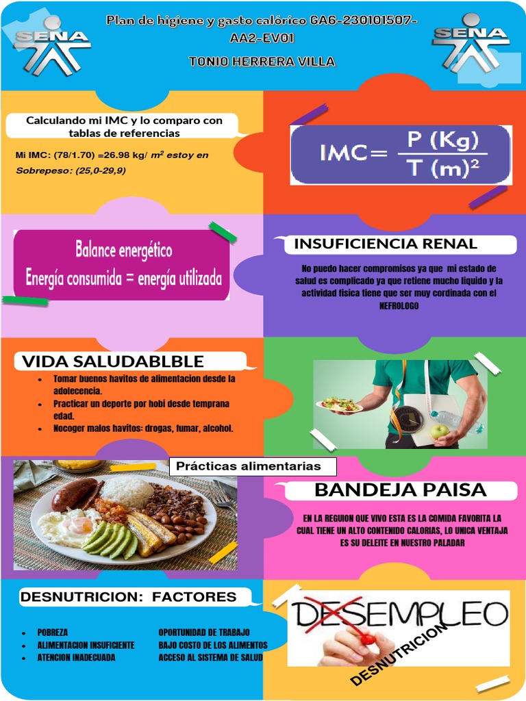 Infografía - Plan de Higiene y Gasto Calórico GA6-230101507-AA2-EV01 | PDF