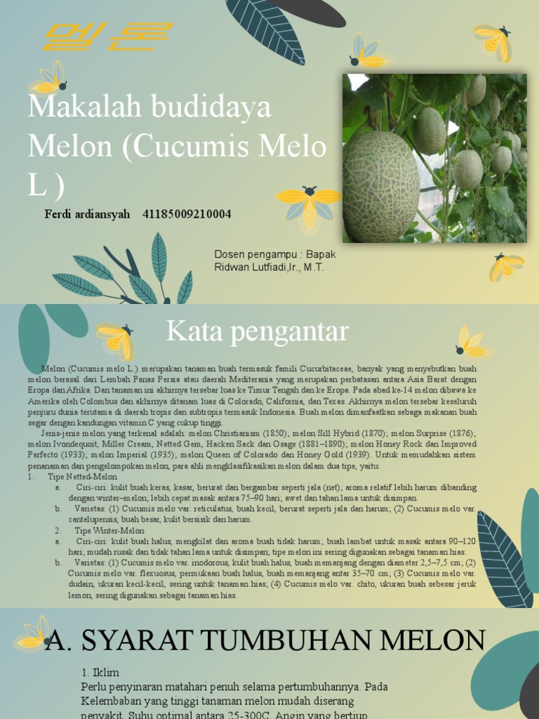 Makalah PPT Ilmu Budidaya Melon | PDF