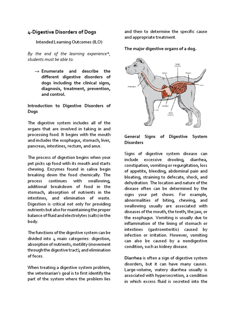 Digestive Disorders in Dogs Explained | PDF | Human Tooth | Periodontology