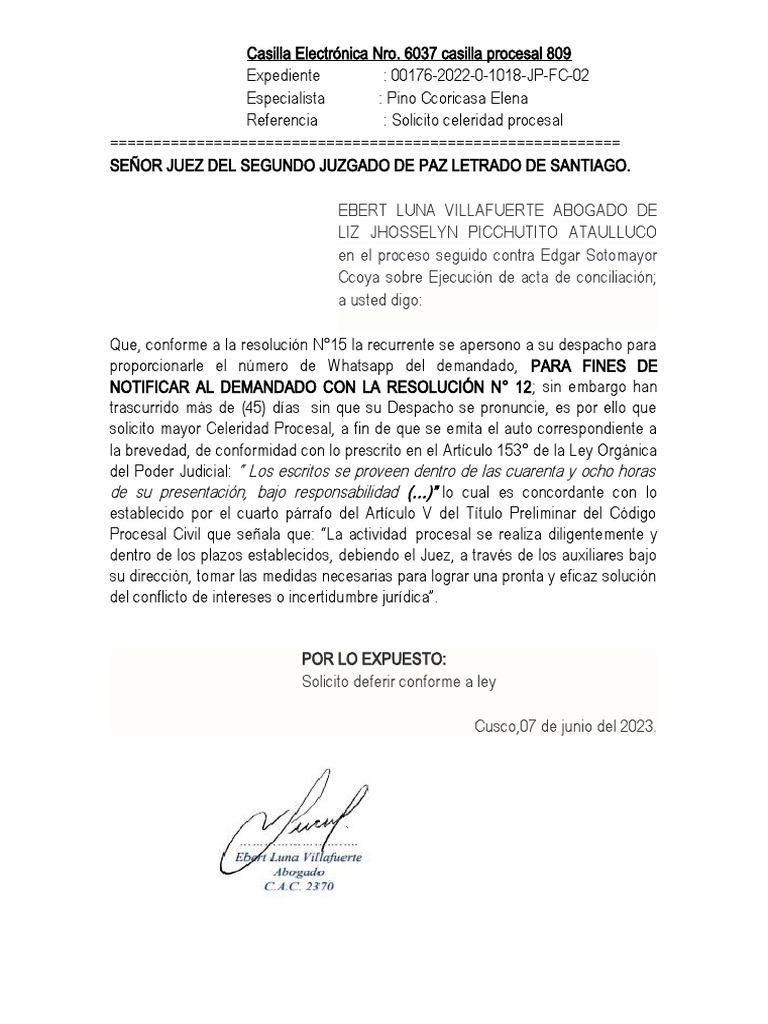 Celeridad Procesal | PDF