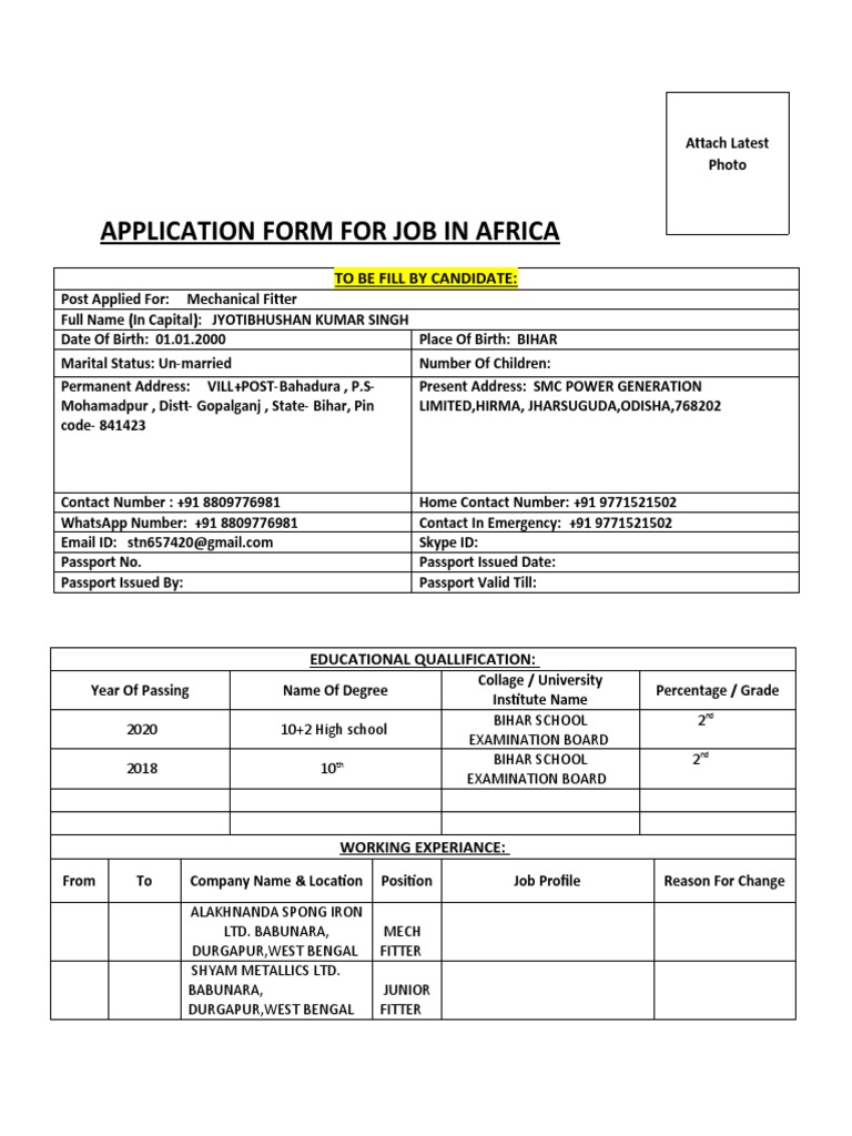 Interview Application Form-2023 | PDF | Economies