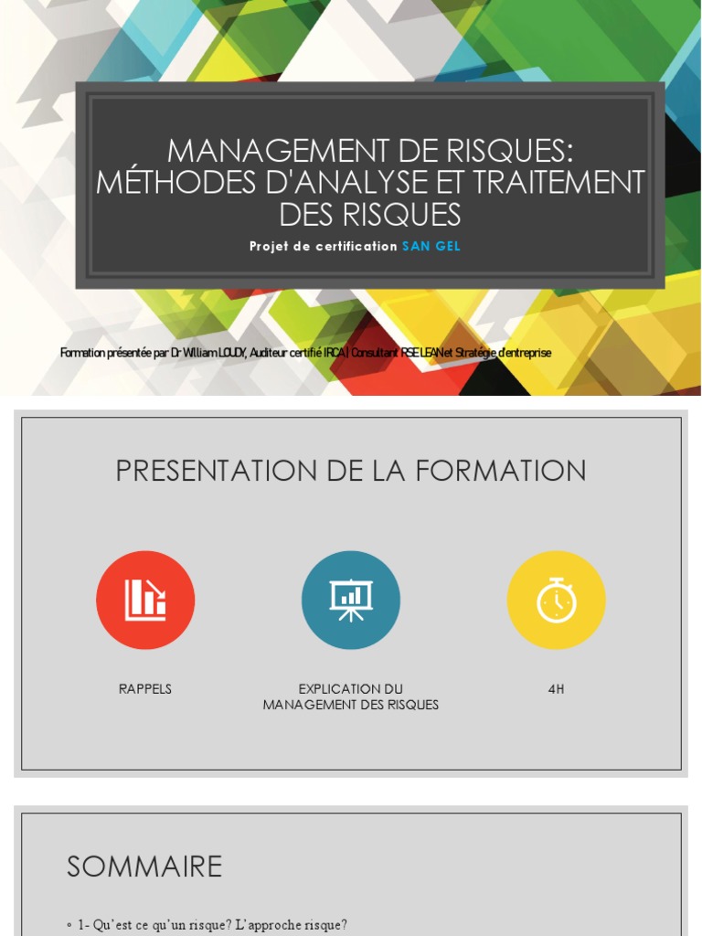 Management Des Risques | PDF | Gestion des risques | Risque