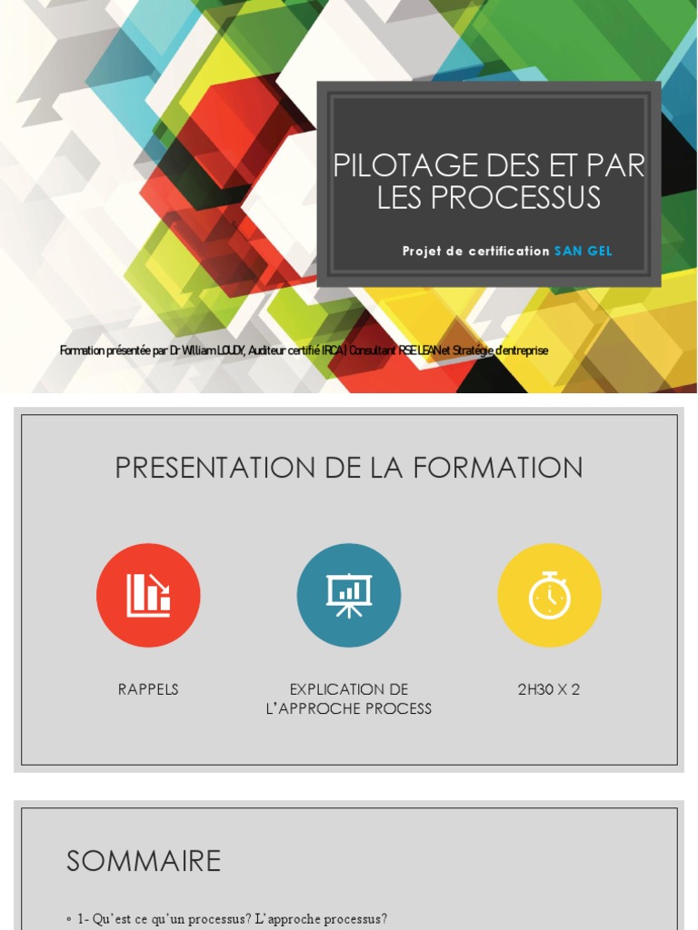 Pilotage Par Les Processus | PDF | Gouvernance | Audit