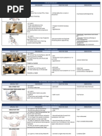 Goniometry Landmarks | PDF | Anatomical Terms Of Motion | Anatomical ...