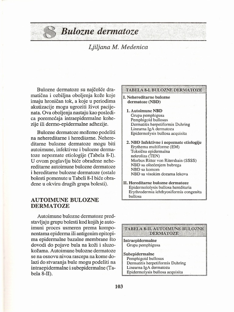 Bulozne Dermatoze | PDF