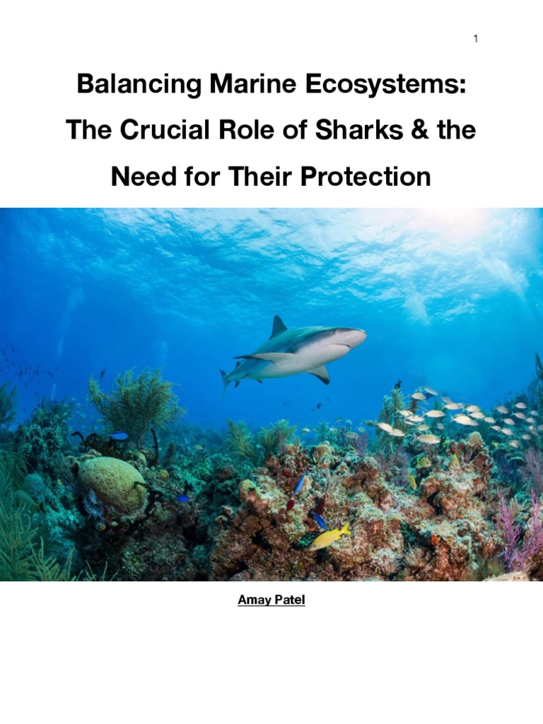 Final Draft Whitepaper With Track Changes Accepted Sharks | PDF | Conservation Biology | Sharks
