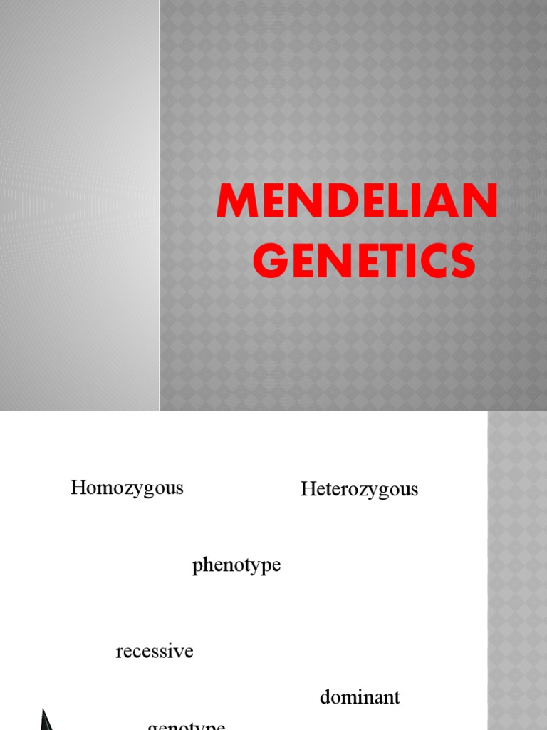Monohybrid Cross 4th COT | PDF | Genotype | Dominance (Genetics)
