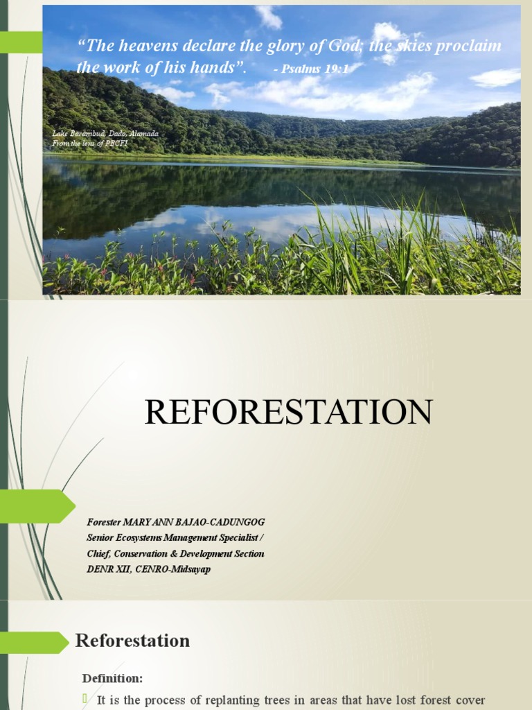 Reforestation | PDF | Climate Change | Deforestation