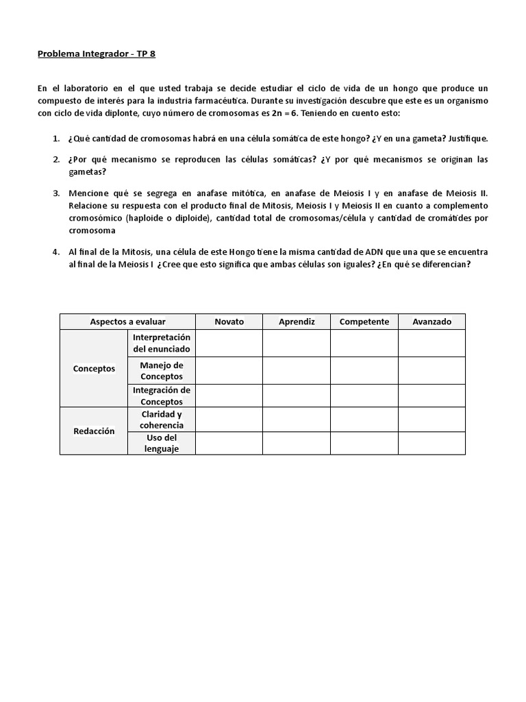 Problema Integrador - TP8 | PDF