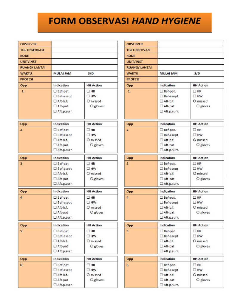 Form Audit Hand Hygiene PDF