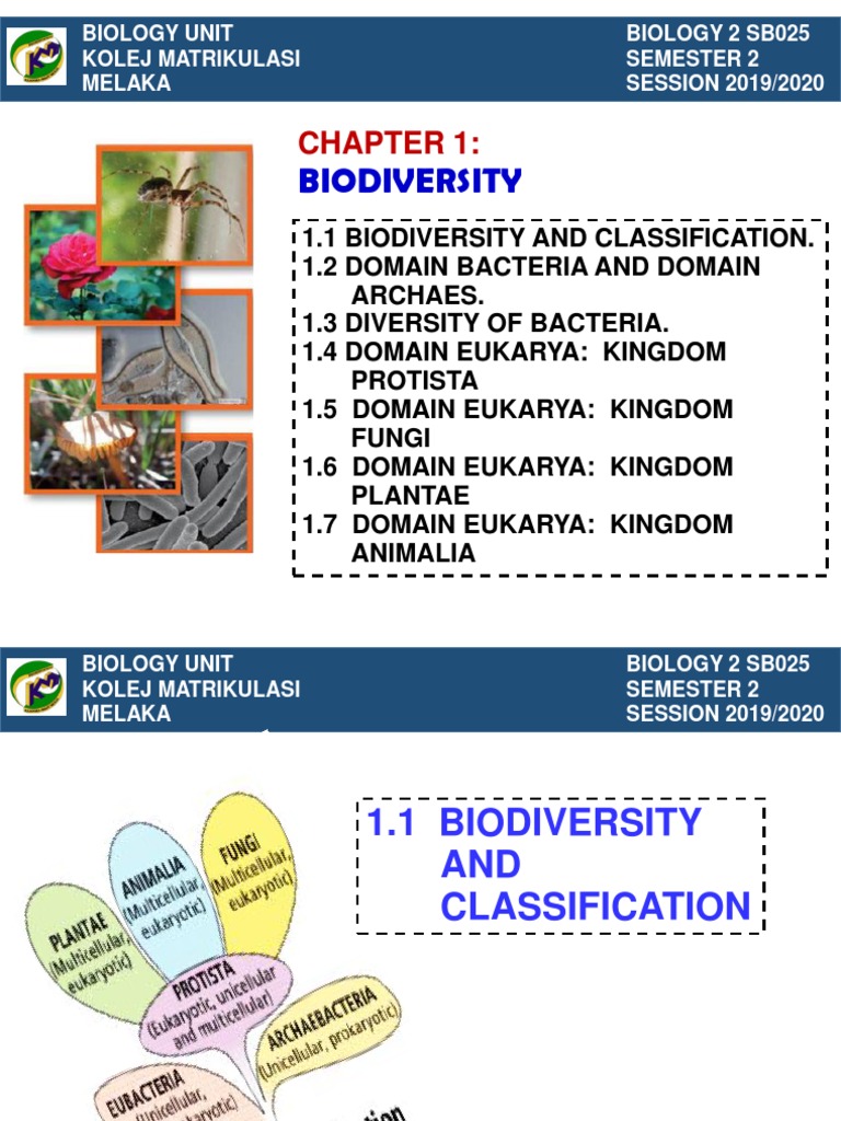 1.1 Biodiversity and Classification | PDF | Biological Classification | Taxa