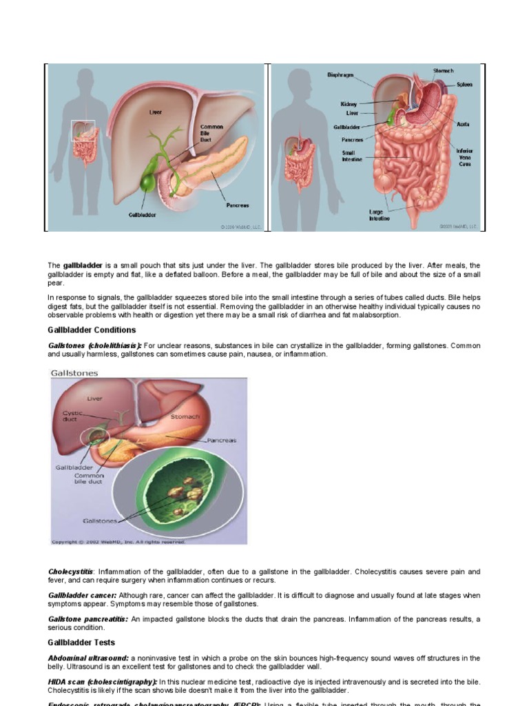 Gallbladder | PDF | Gallbladder | Bile