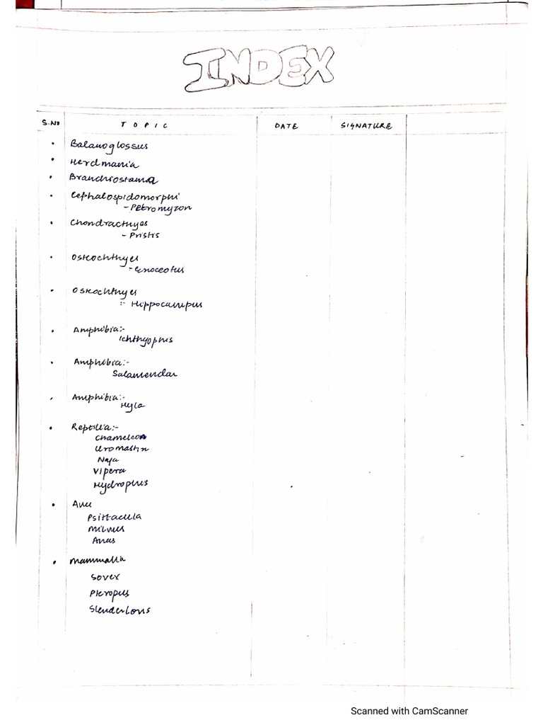 Zoology Vertebrate | PDF