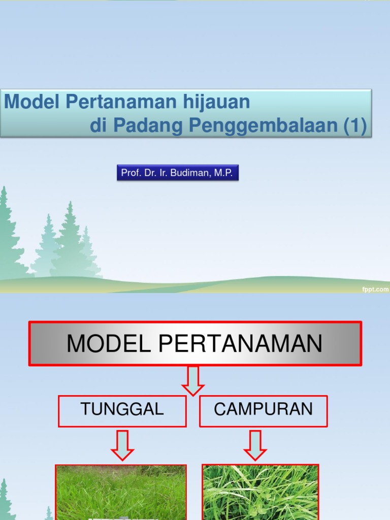 Model Pertanaman di Padang Penggembalaan | PDF | Sains & Matematika ...