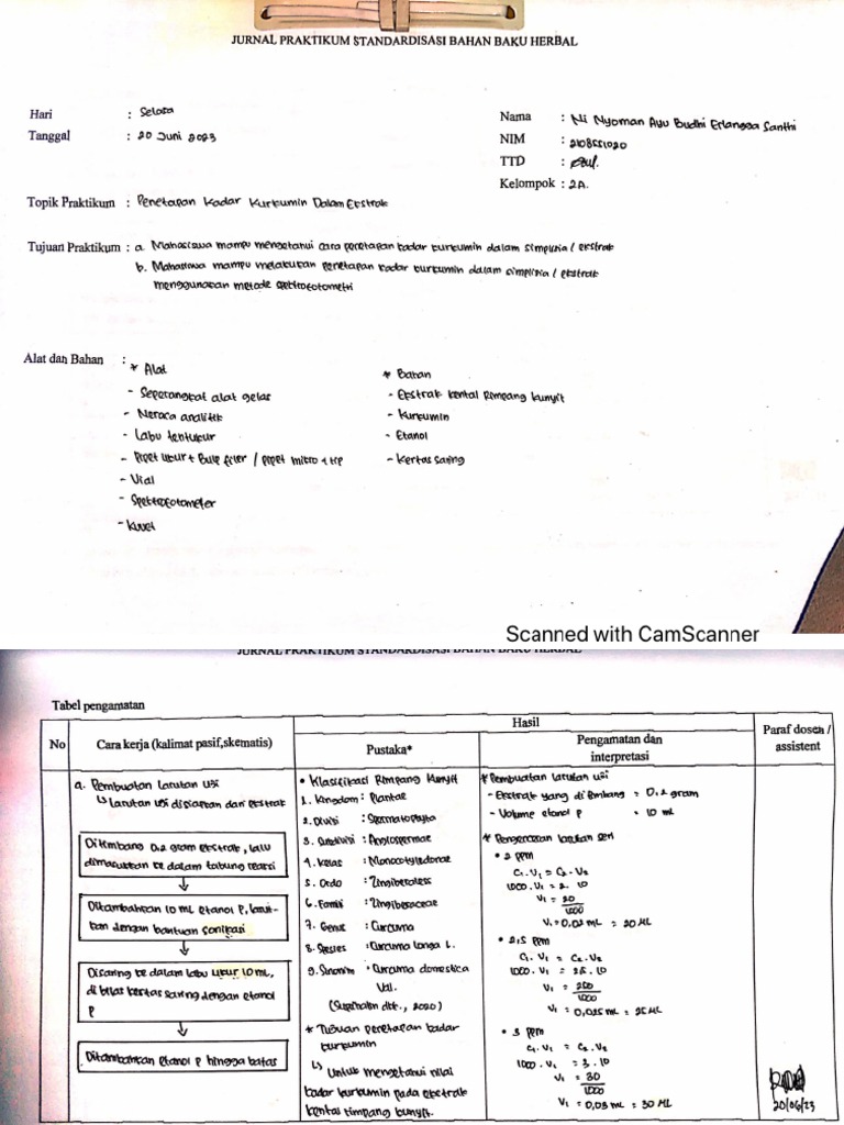 Hasil Kurkumin - Ni Nyoman Ayu Budhi Erlangga Santhi | PDF