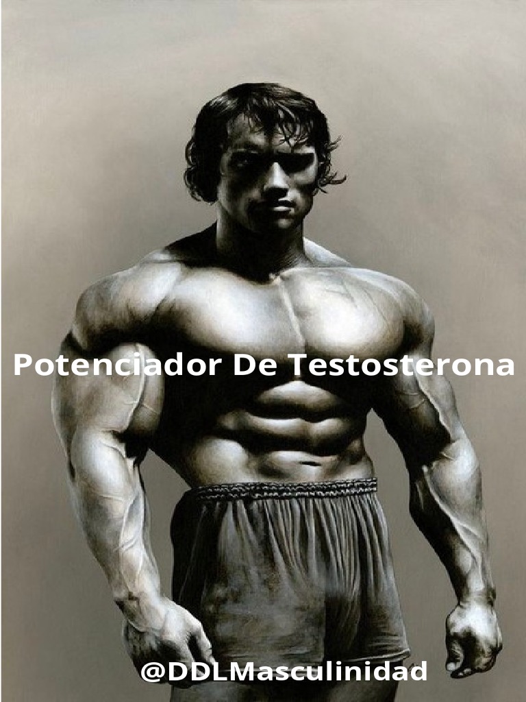 Potencia Dorde Testosterona 1 | PDF | Testosterona | Zinc