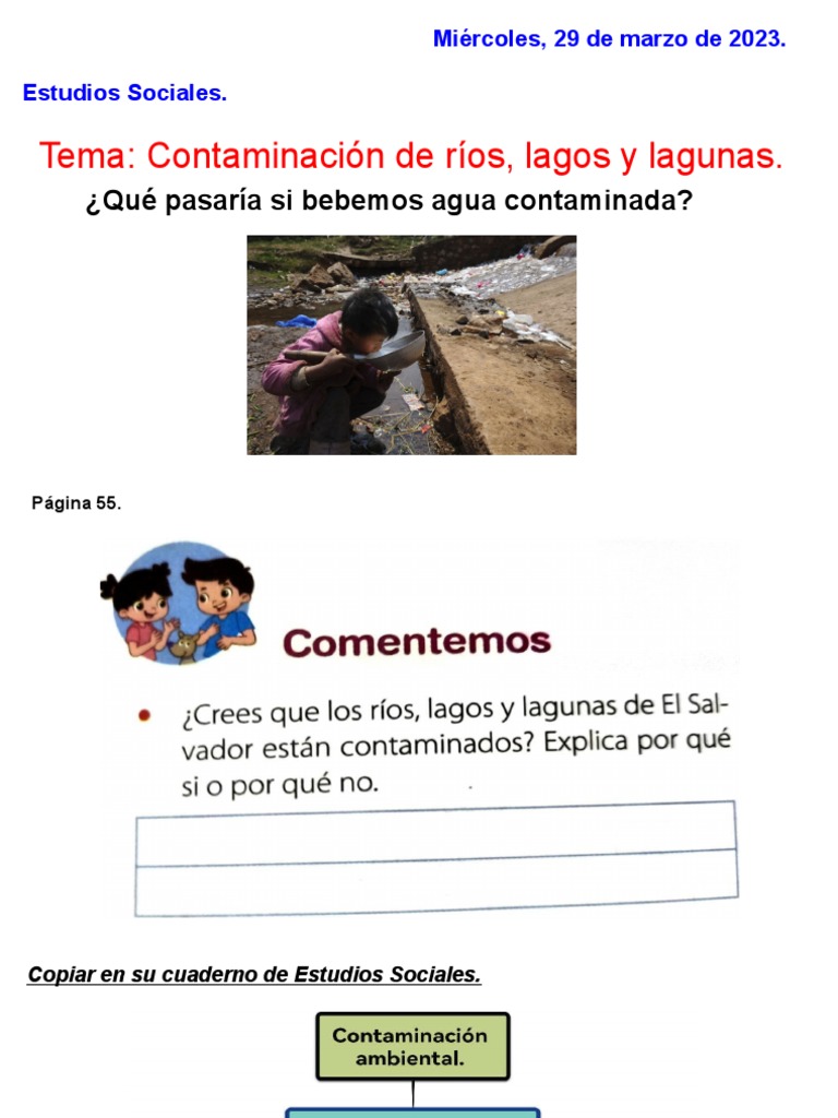 Tema - Contaminación de Ríos, Lagos y Lagunas | PDF