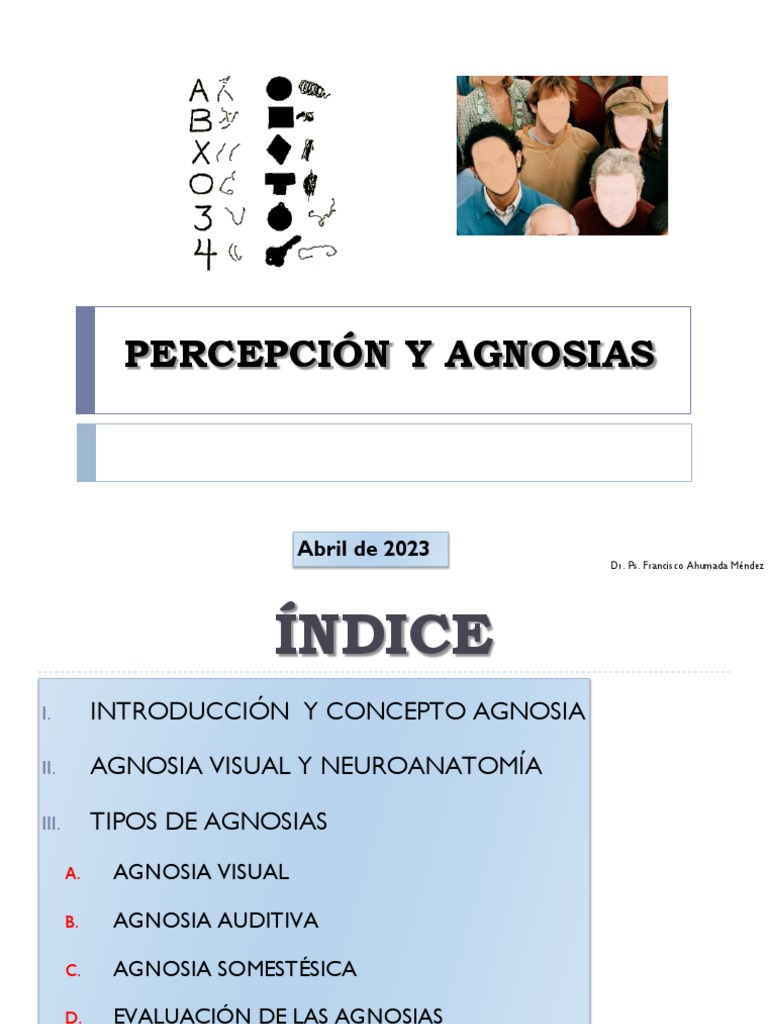 Ejemplos de Agnosia Táctil y Visual | PDF | Lóbulo occipital ...