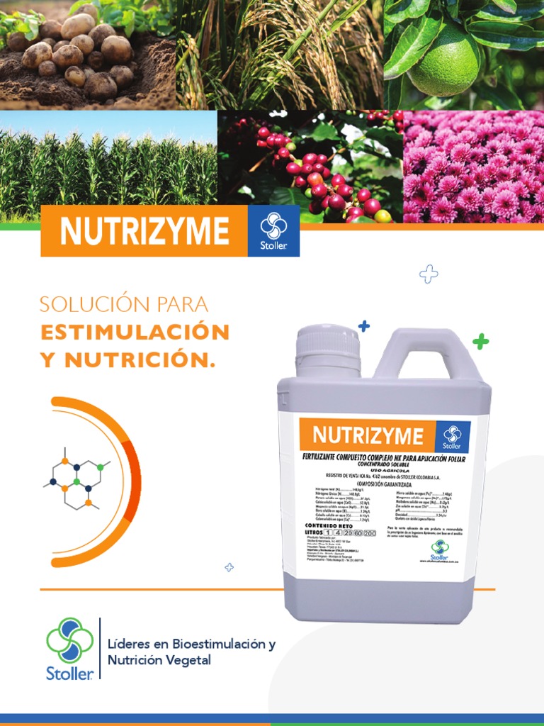 NUTRIZYME | PDF