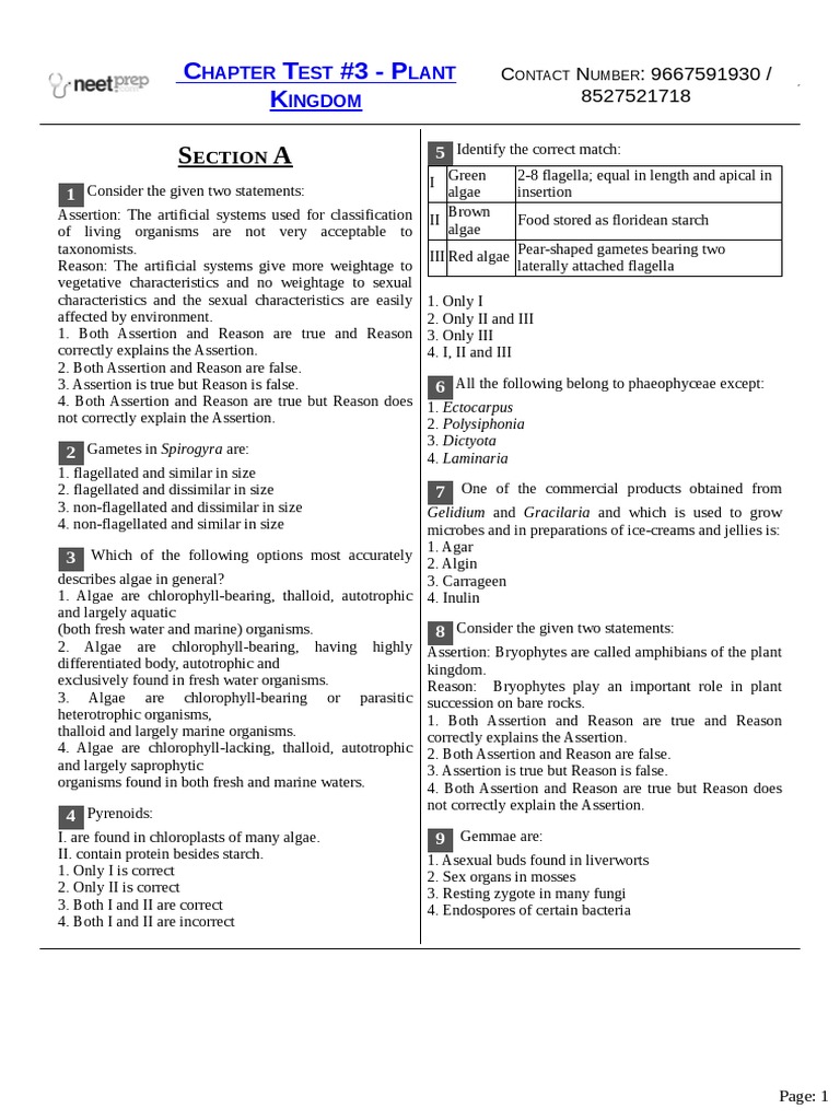 Chapter Test # 3 - Plant Kingdom - Bio Prodigy | PDF | Fern | Plants