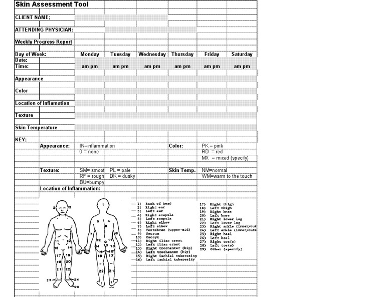 Assessment Tool Skin | PDF