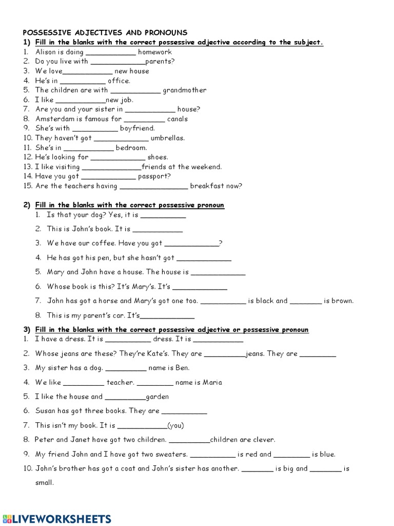 Possessive Pronouns Pdf