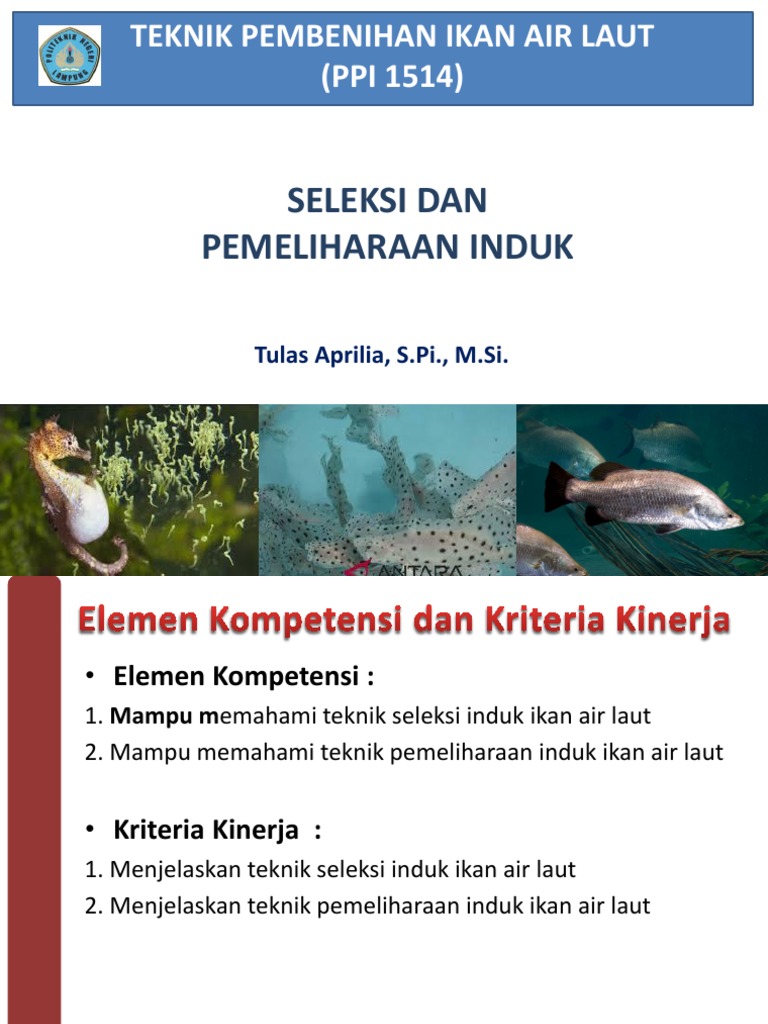 Teknik Pembenihan Ikan Laut | PDF | Kesehatan Holistik