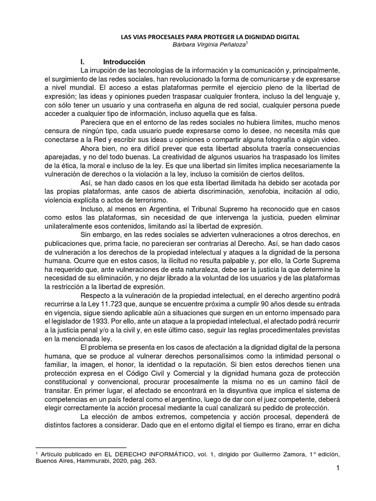 Las Vias Procesales para Proteger La Dignidad Digital | PDF | Acoso cibernético | Libertad de ...