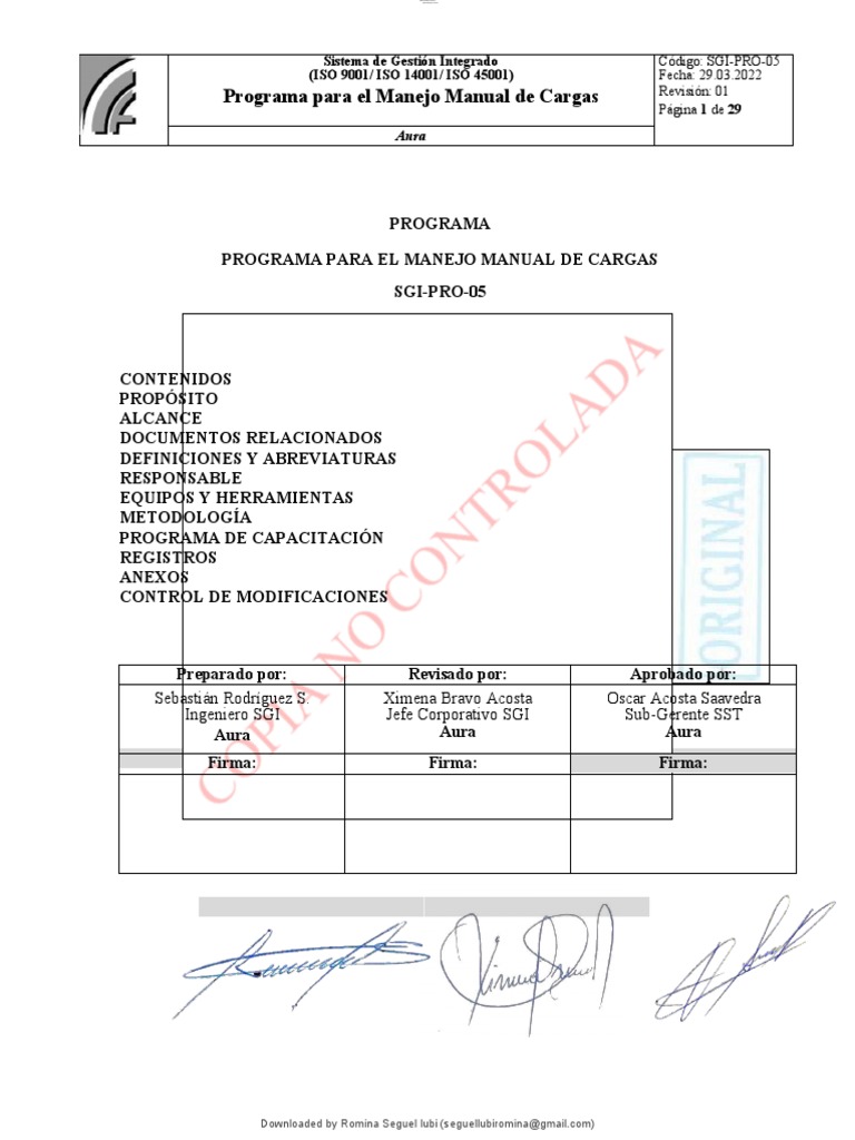 Sgi Pro 05 Programa para El Manejo Manual de Cargas | PDF | Riesgo | Máquina elevadora