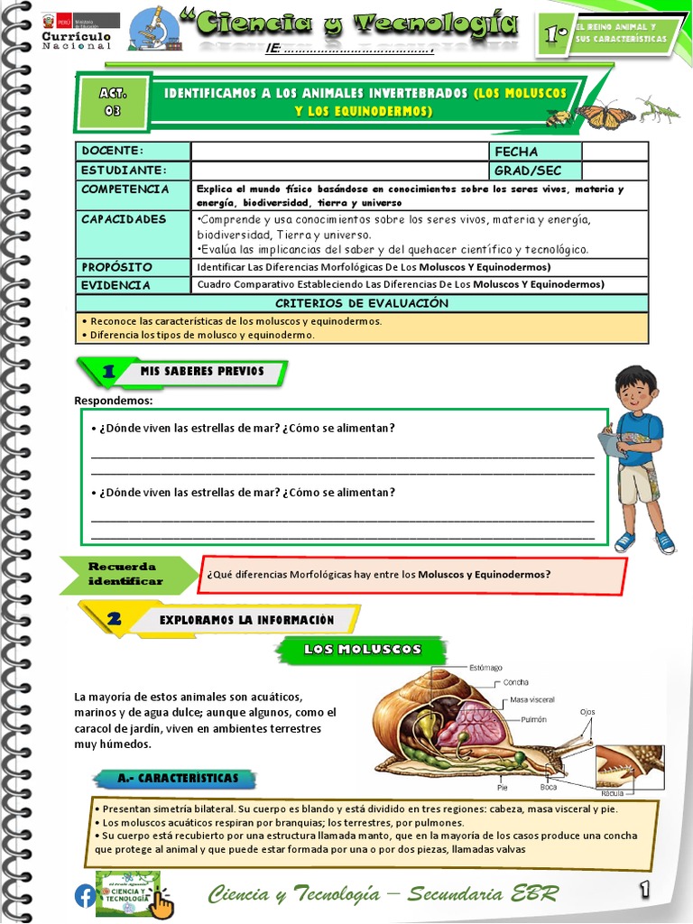 B-1º Act 3 Cyt Unid 3 - Sem 2 | PDF | Moluscos | Organismos