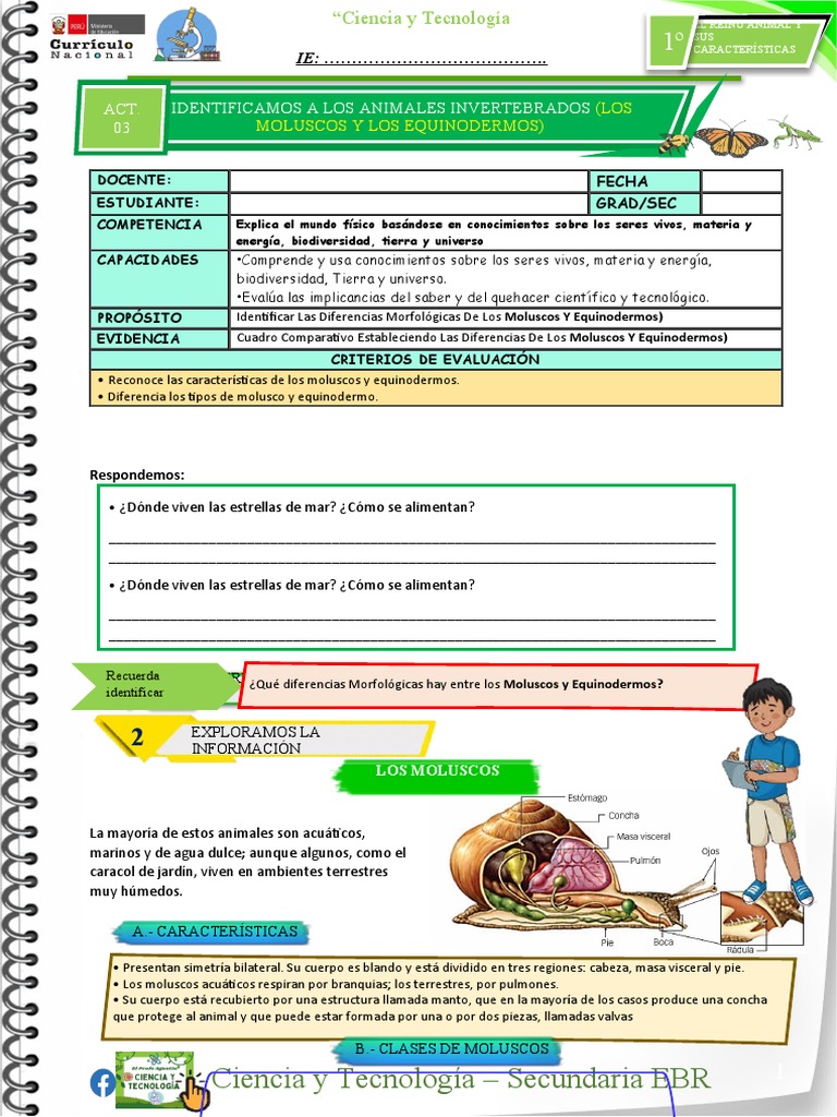 B-1º Act 3 Cyt Unid 3 - Sem 2 | PDF | Moluscos | Bivalvia