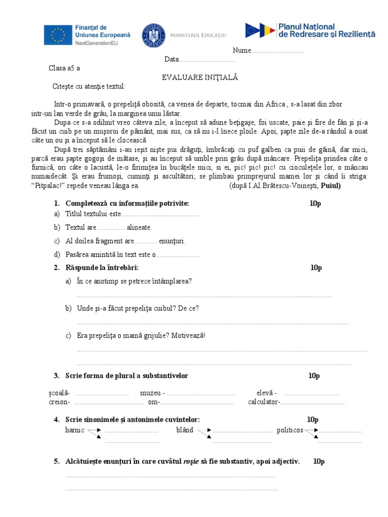 A 5 A Evaluare Initiala | PDF