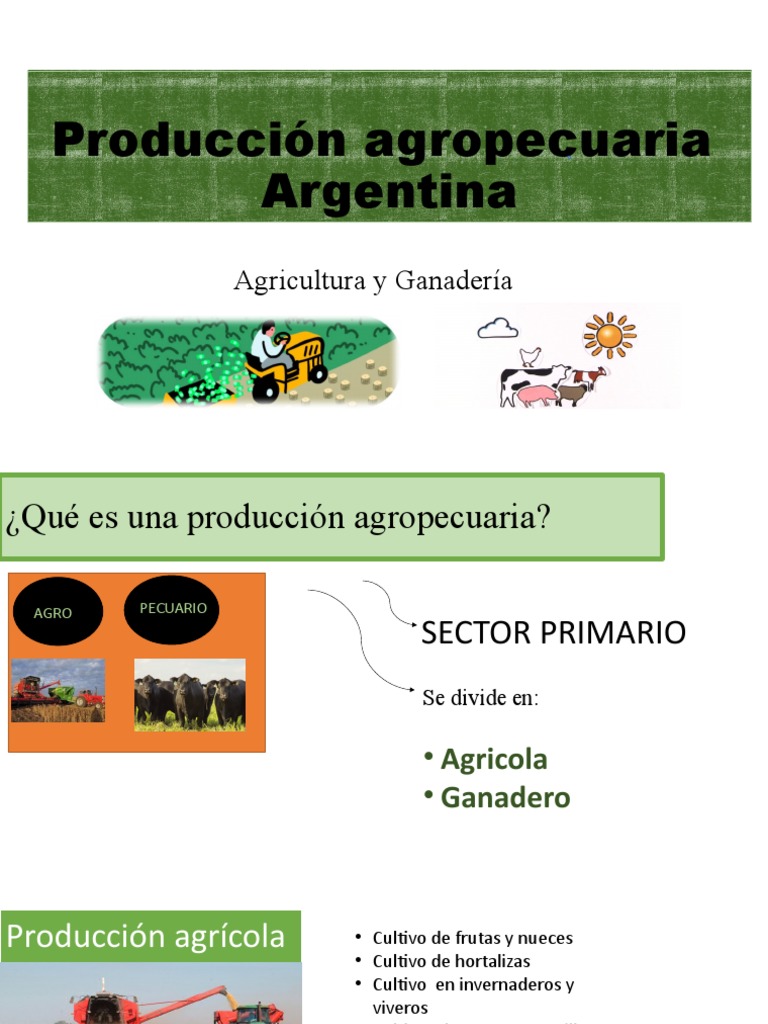 Zonas Productivas de Argentina | PDF