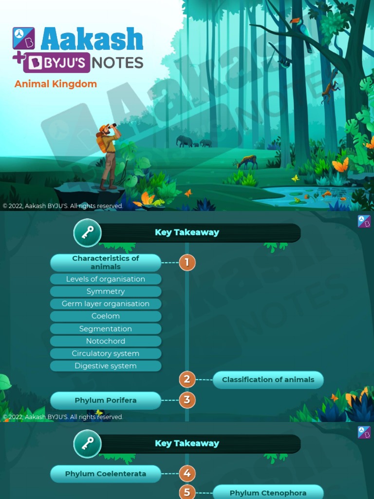 Animal Kingdom | PDF | Invertebrate | Organisms