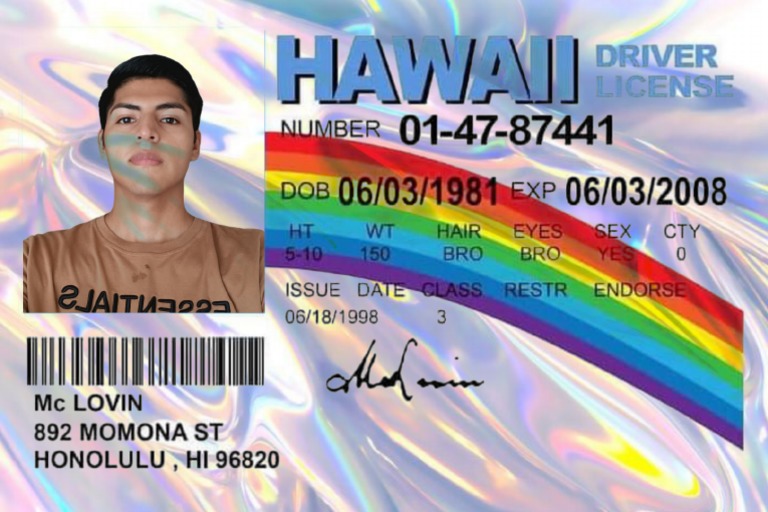 Mclovin | PDF