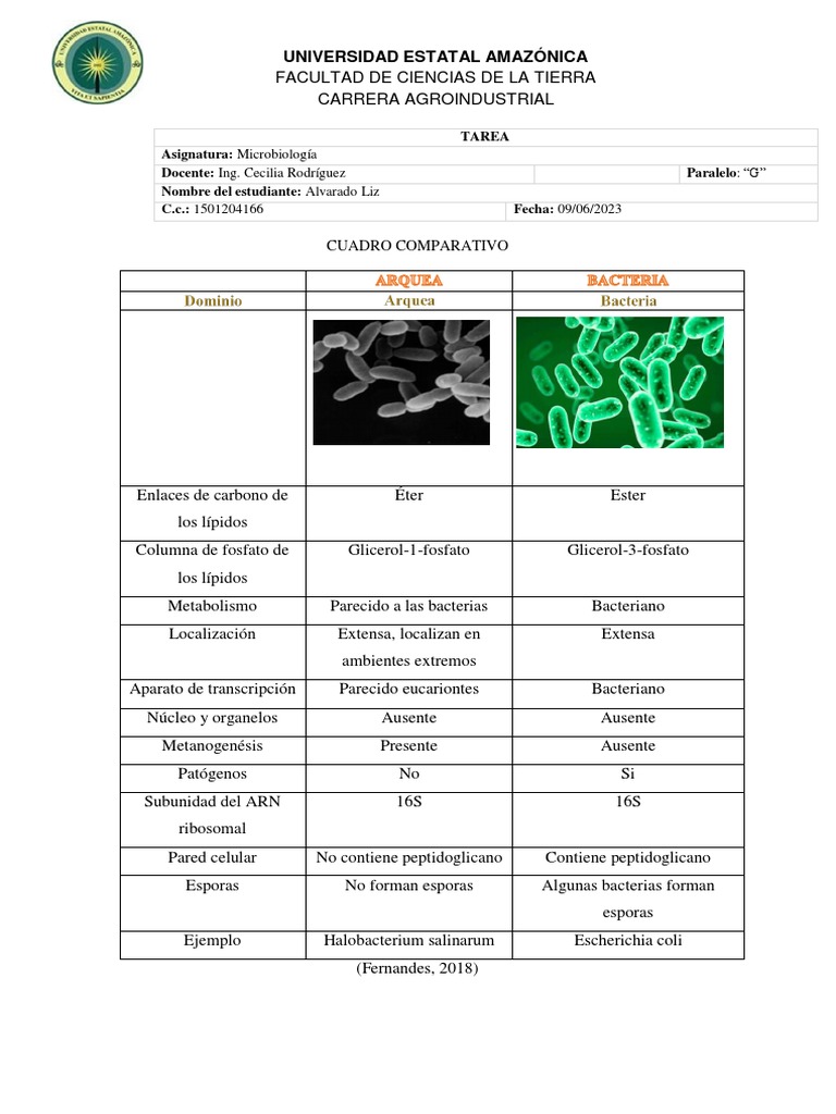 Arquea y Bacterias | PDF