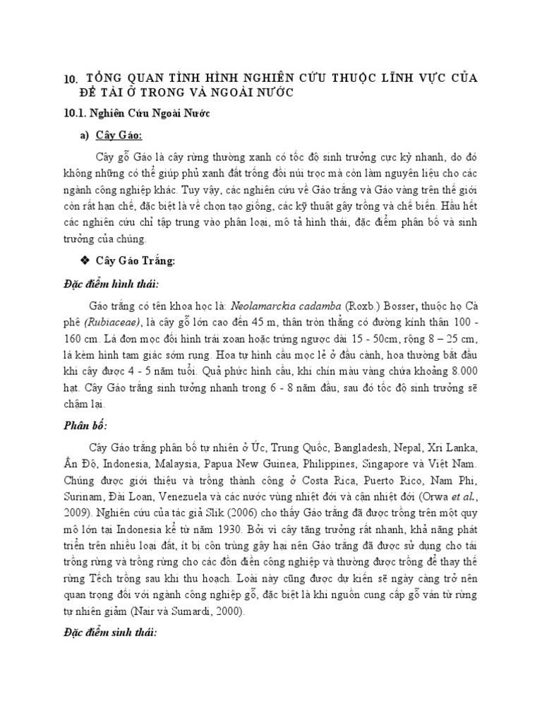 T NG Quan Cây Gáo | PDF