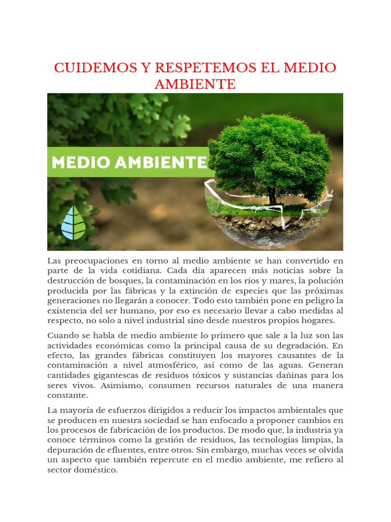 Ensayo Sobre El Medio Ambiente | PDF | Entorno natural | Contaminación