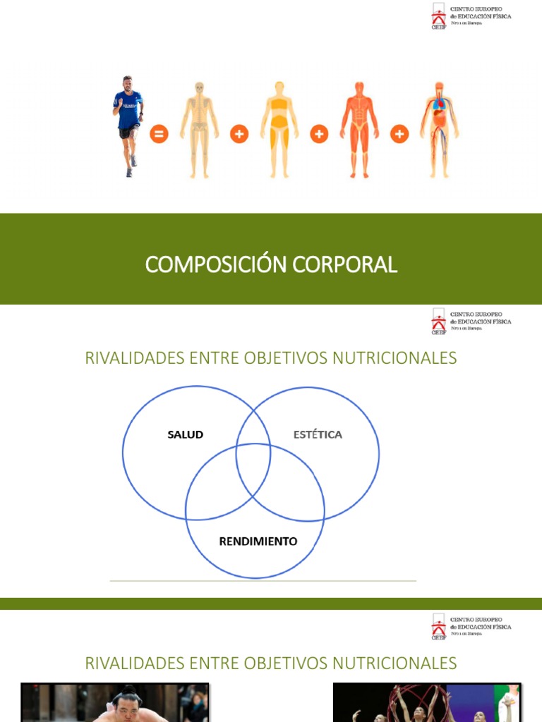 Clase 8 - Evaluación de La Composición Corporal | PDF | Metrología