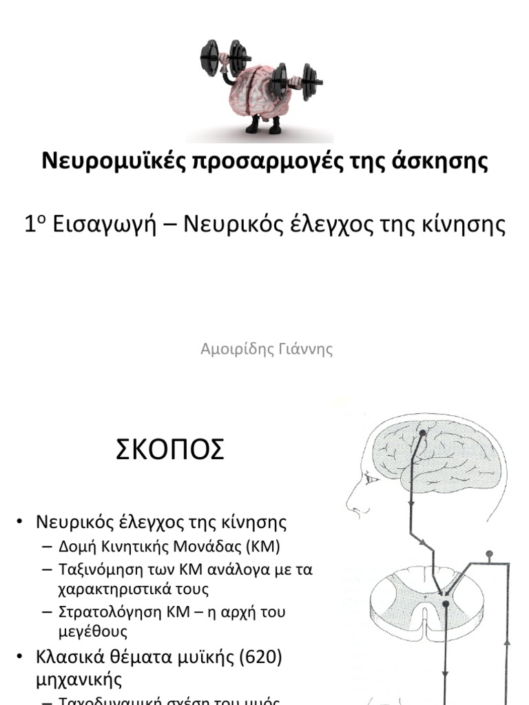 1. Νευρικός έλεγχος της κίνησης | PDF