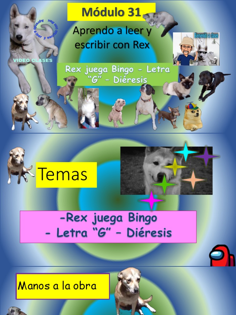Aprendo A Leer y Escribir Con Rex I Módulo 31 I Rex Juega Bingo I Letra ...
