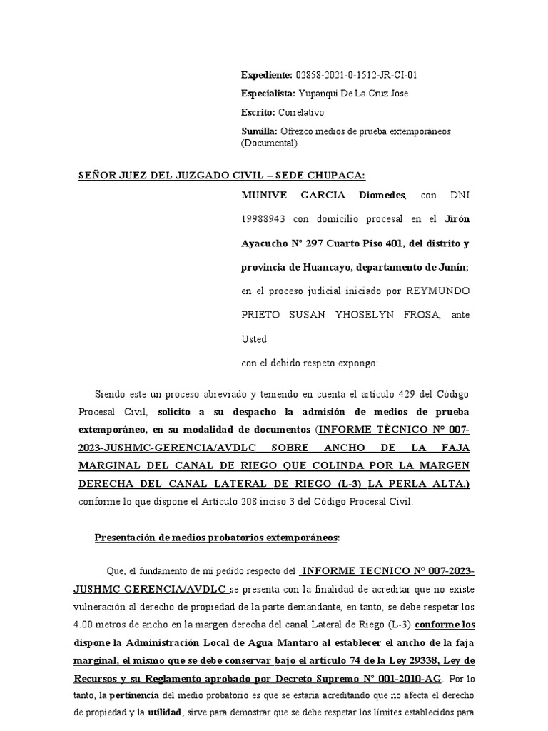 Escrito de Prueba Extemporaneo | PDF | Judicaturas | Ley Pública