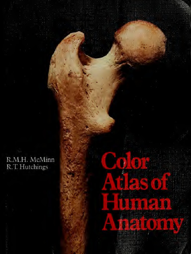 Color Atlas of Human Anatomy | PDF | Skull | Common Carotid Artery