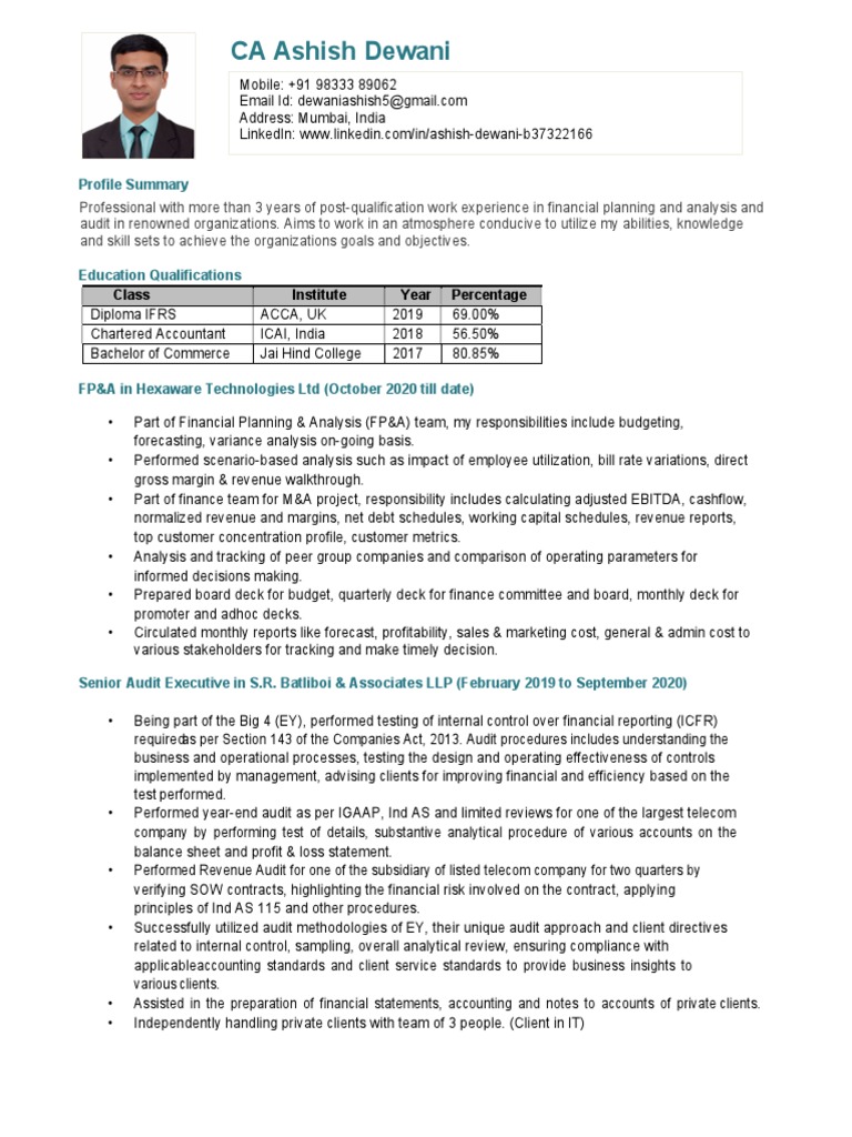 Financial Analyst & Auditor Profile Summary | PDF | Audit | Financial ...