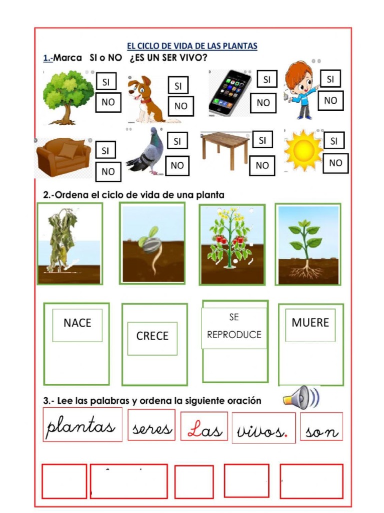 Actividades Ciencias Naturales 3ero | PDF