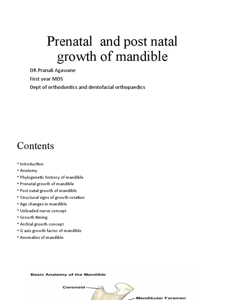 Mandible Growth: Prenatal to Postnatal | PDF | Musculoskeletal System ...